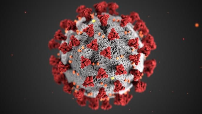 Nipah Virus Rising In India: Origin, Symptoms and Precautions Explained ... Nipah Virus Rising In India: Origin, Symptoms and Precautions Explained ...